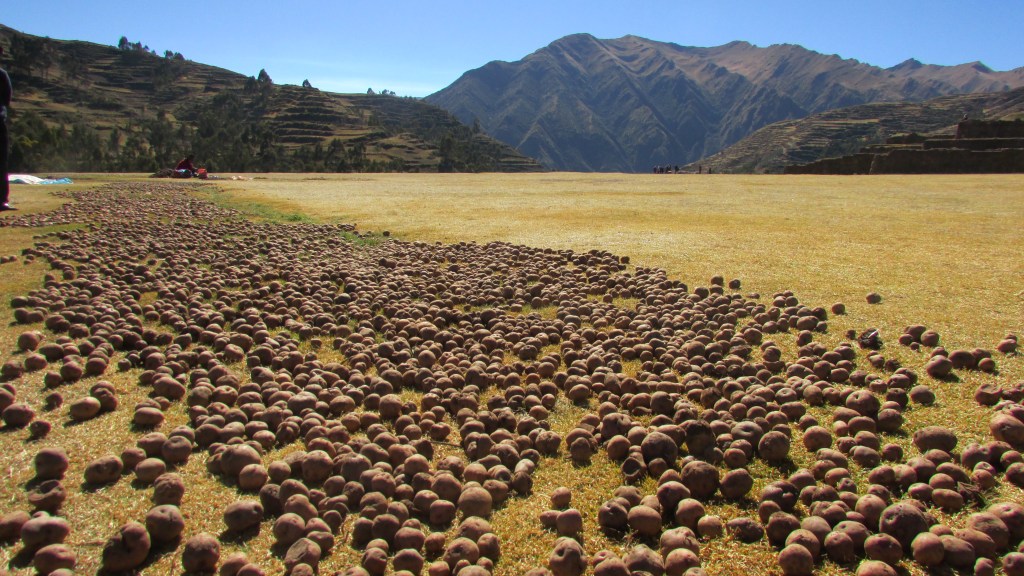 The Inca: The Highest Achievements of Andean Civilization – open ended ...