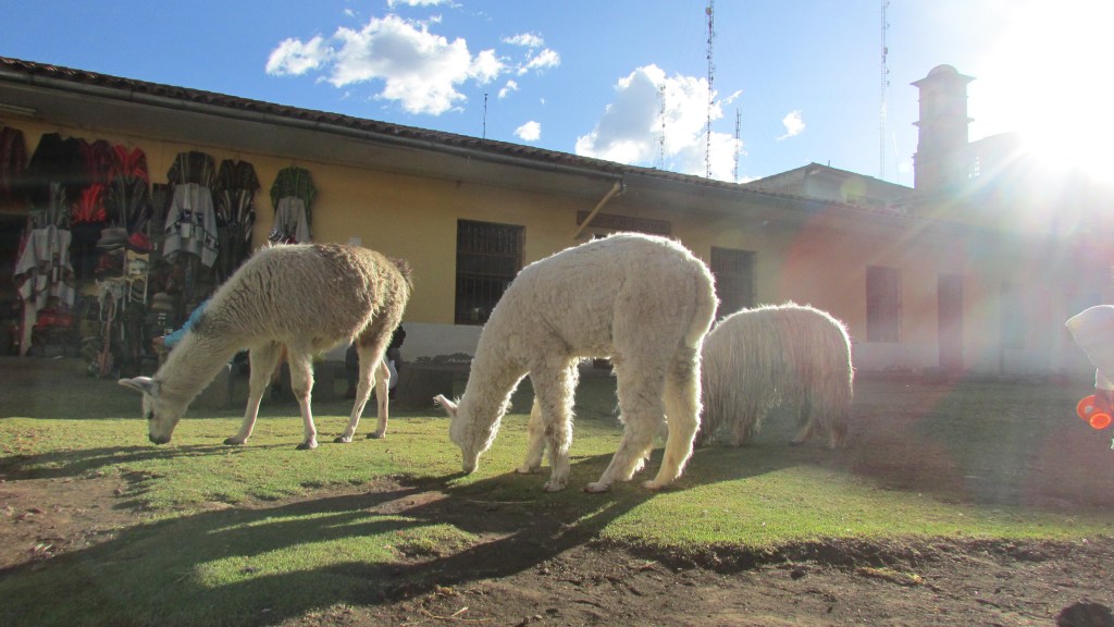 The Inca: The Highest Achievements of Andean Civilization – open ended ...