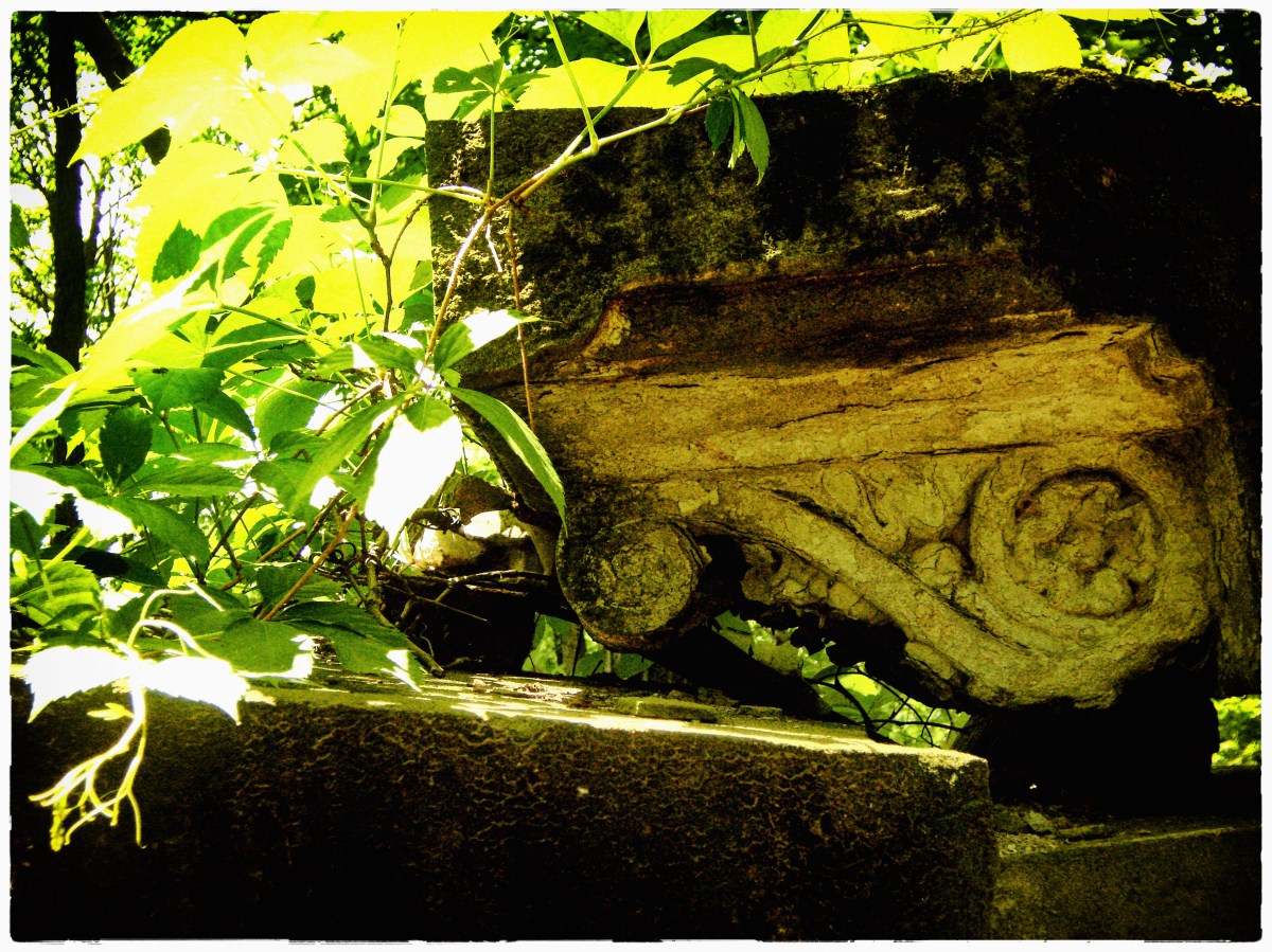 Free Online, Open Source Textbook for Middle or High School – The ...